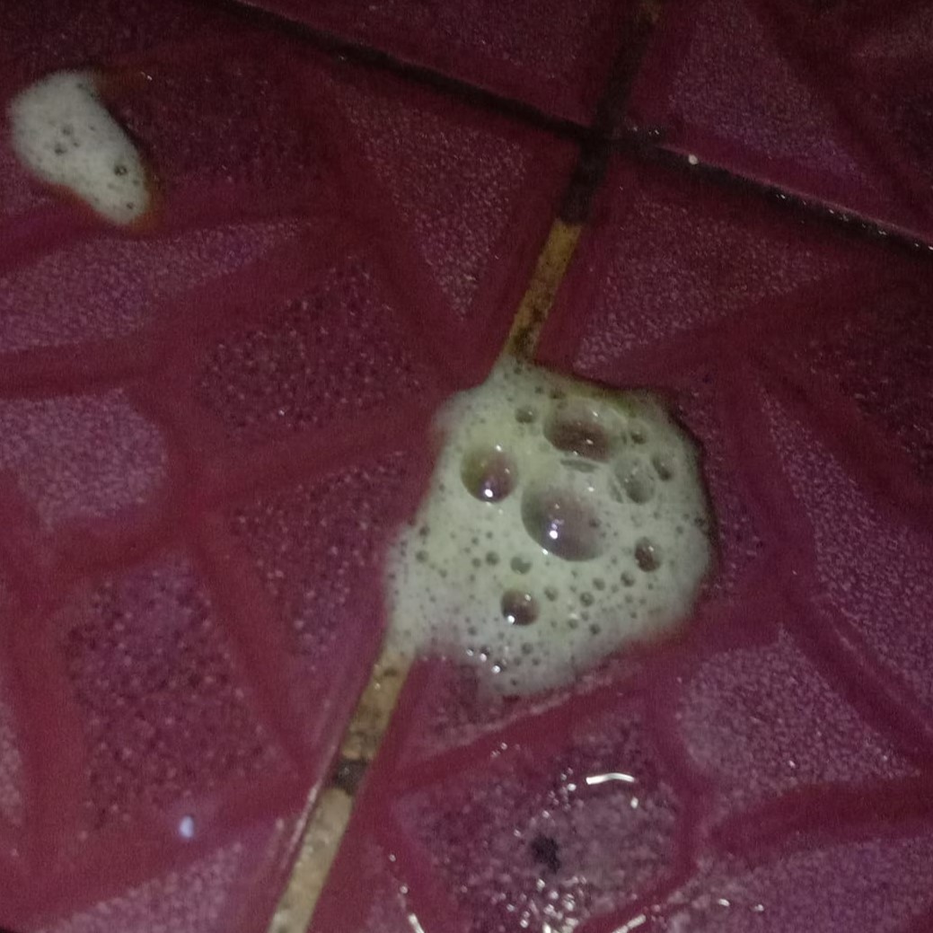 My First Project Classification Dataset by CNN