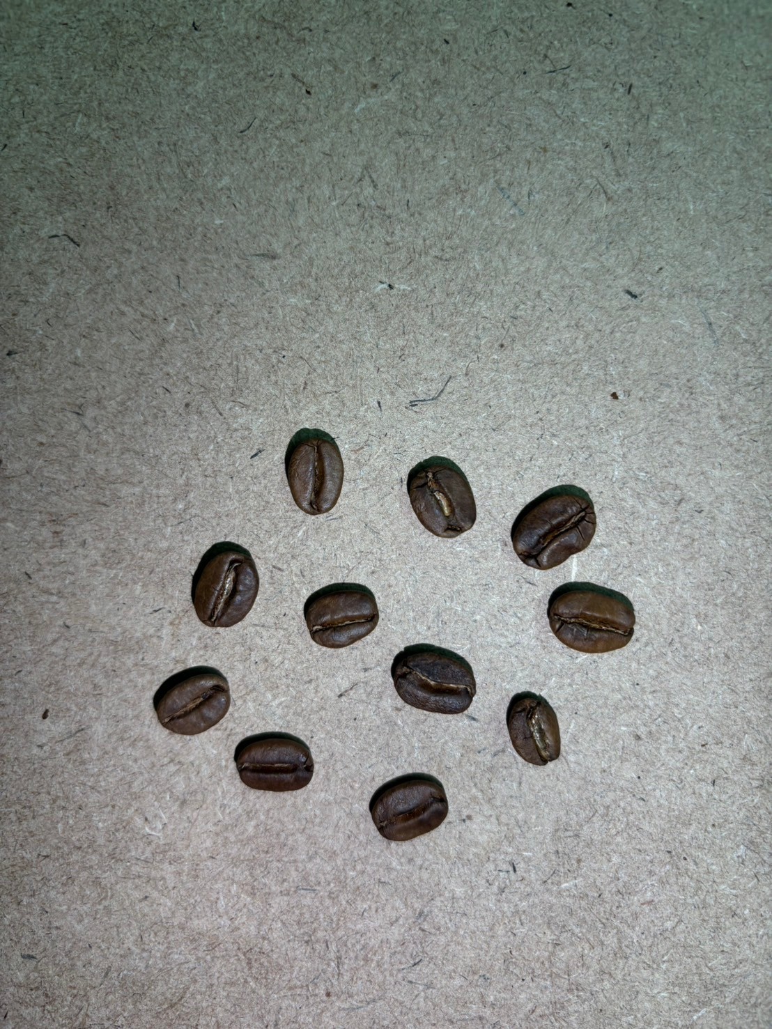 coffee Object Detection Dataset by coffee