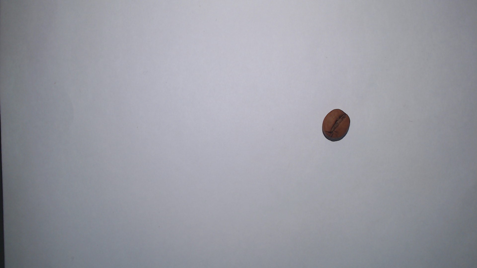 coffee bean Object Detection Dataset by coffee