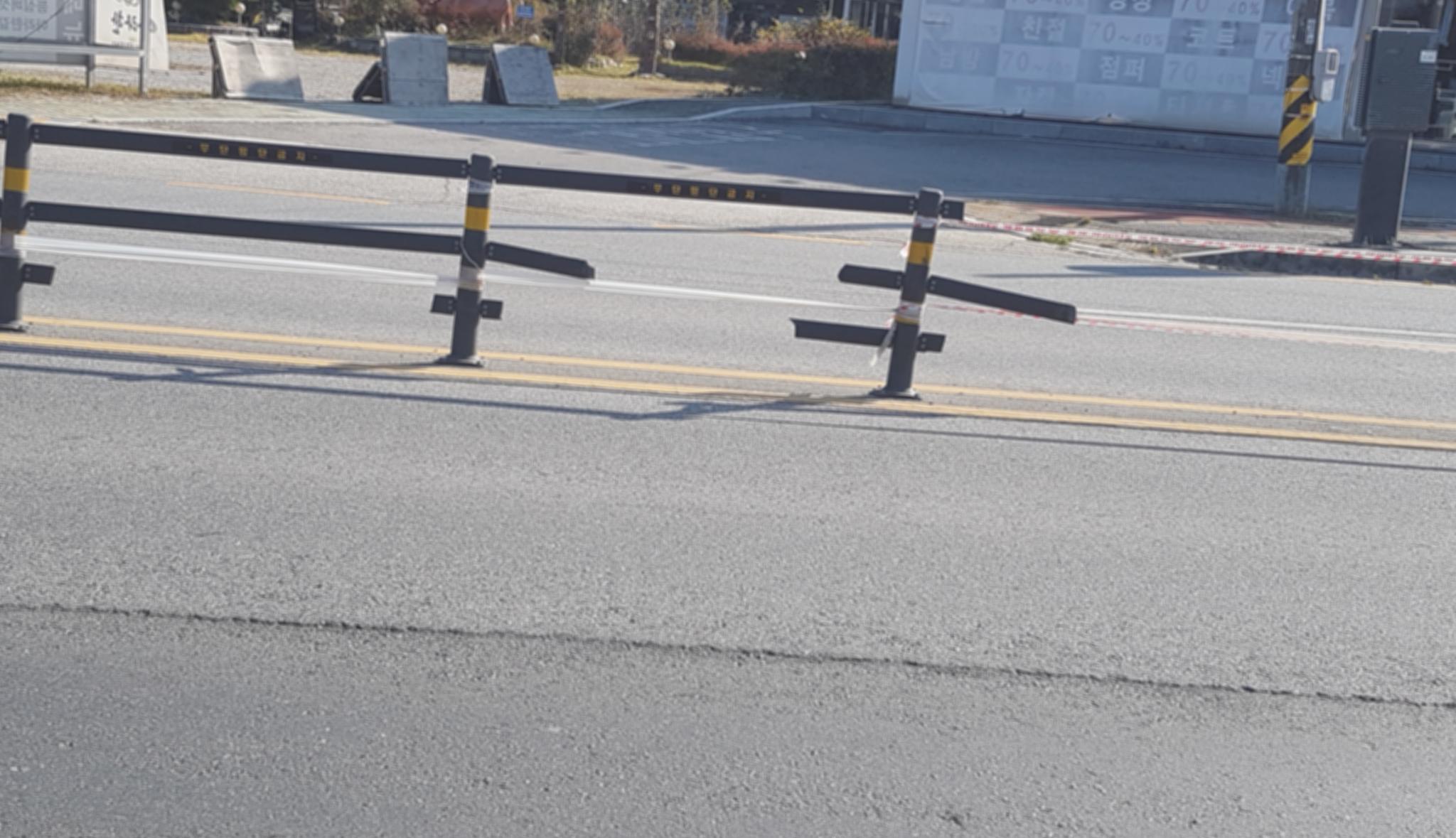 ROAD-REAL Instance Segmentation Model by project-60htx