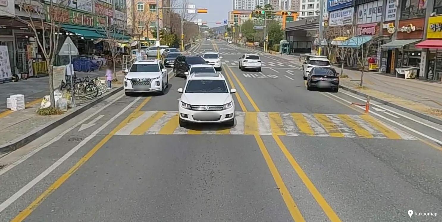 Doro_road Instance Segmentation Dataset and Pre-Trained Model by project-60htx