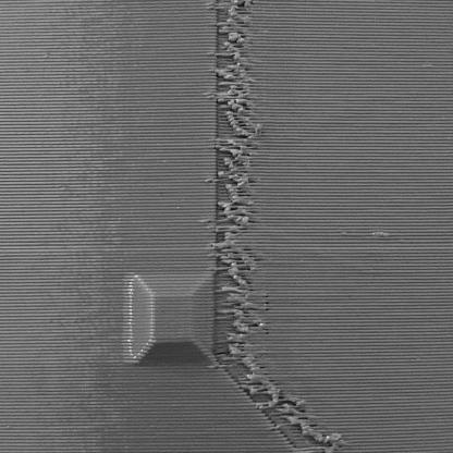 AUUU - Roboflow Universe