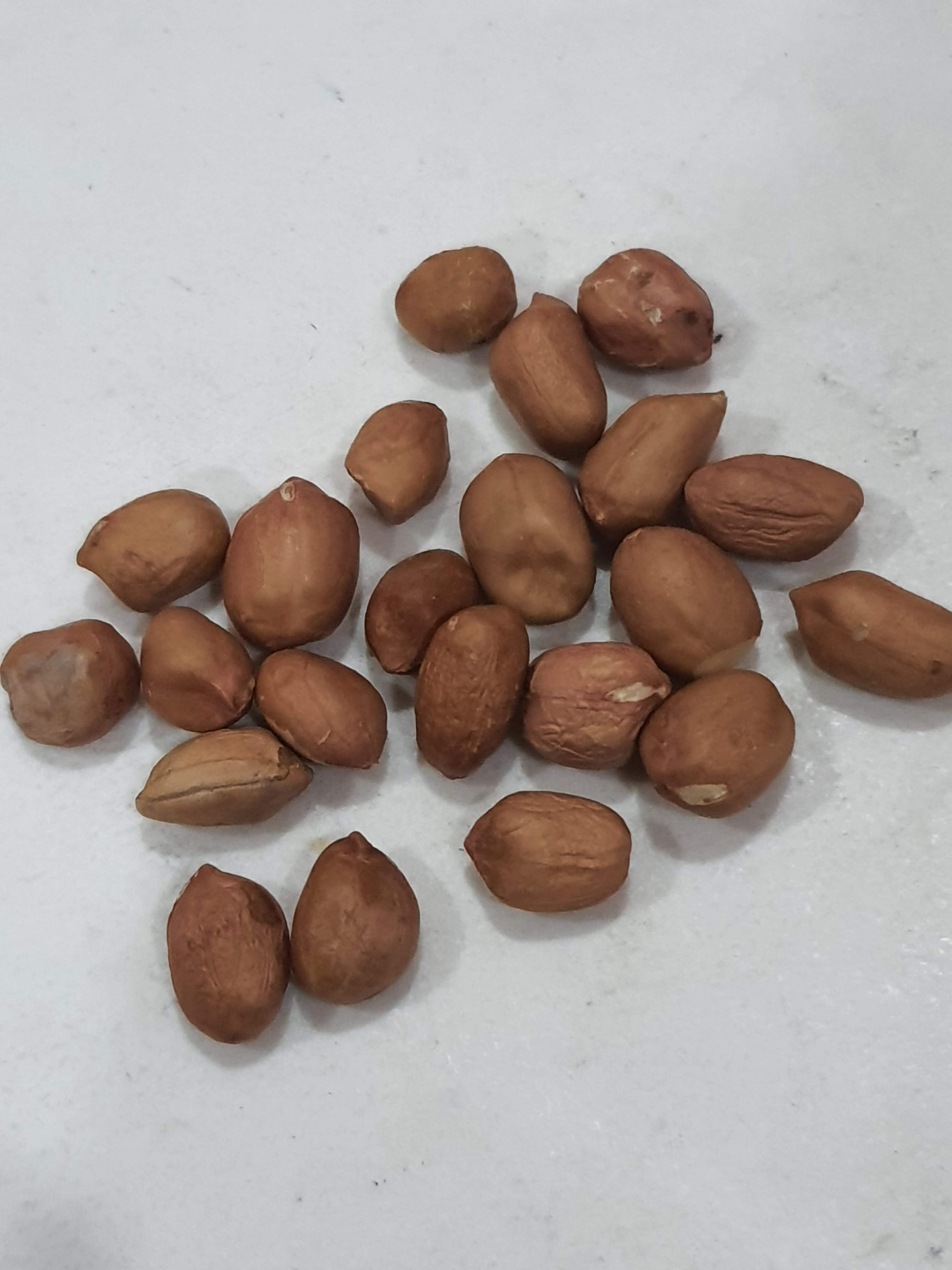 seed Classification Model (v4, 2023-03-14 8:12am) by Yaswanth Sai Burri