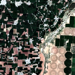 CP-Sentinel Instance Segmentation Dataset and Pre-Trained Model by CPSentinel