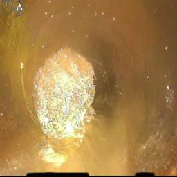 pipeline-SG Instance Segmentation Dataset by zyc