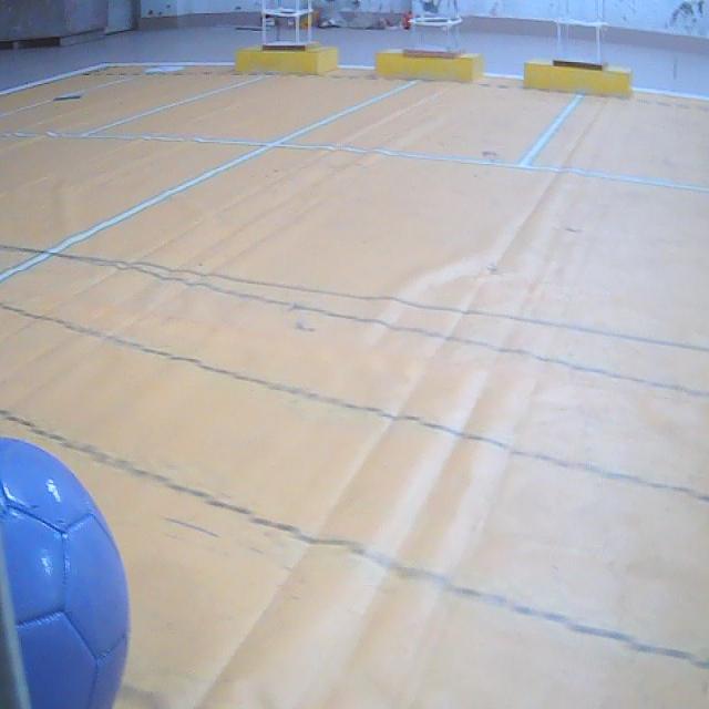 Polygon Instance Segmentation Dataset and Pre-Trained Model by Raptors