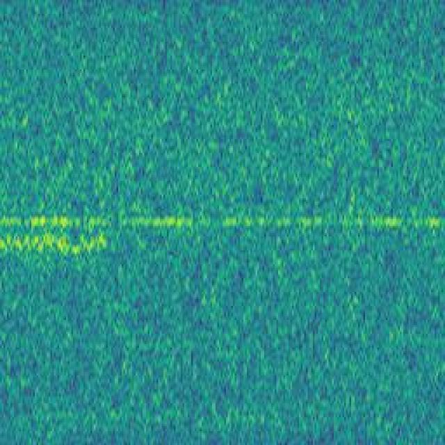 IDC Label Sample - Roboflow Universe