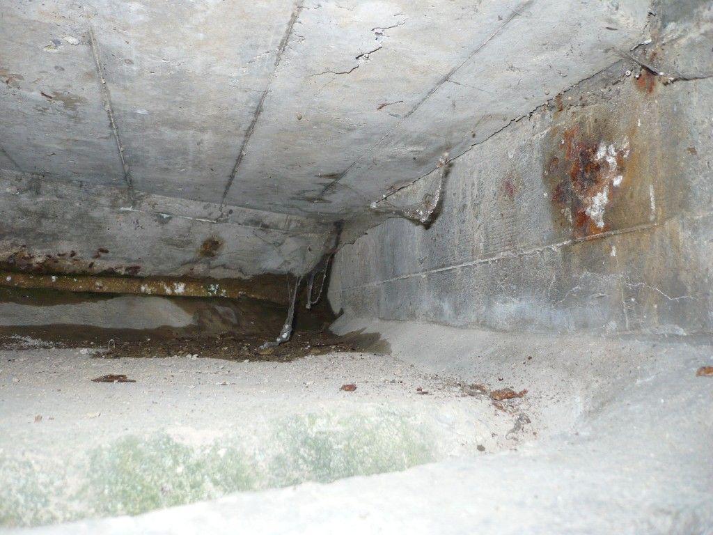 Water Seepage3 Object Detection Dataset By Water Seepage And Efflorescence