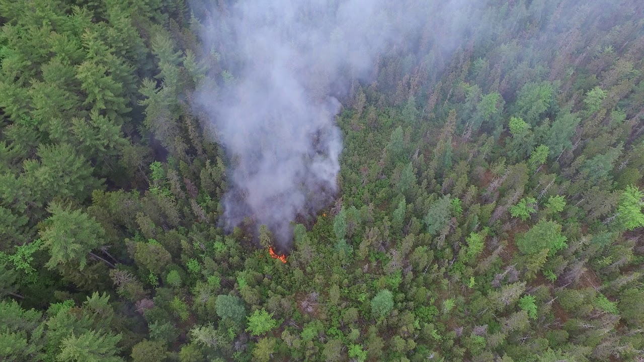 Forest Fire Object Detection Dataset by School Project Workspace
