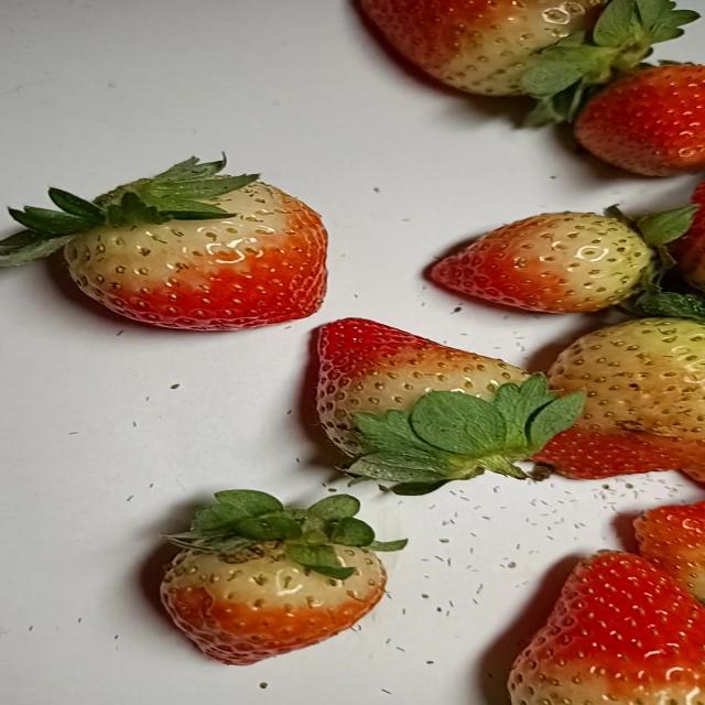 Fruits_det Object Detection Dataset and Pre-Trained Model by HarshaVardhan