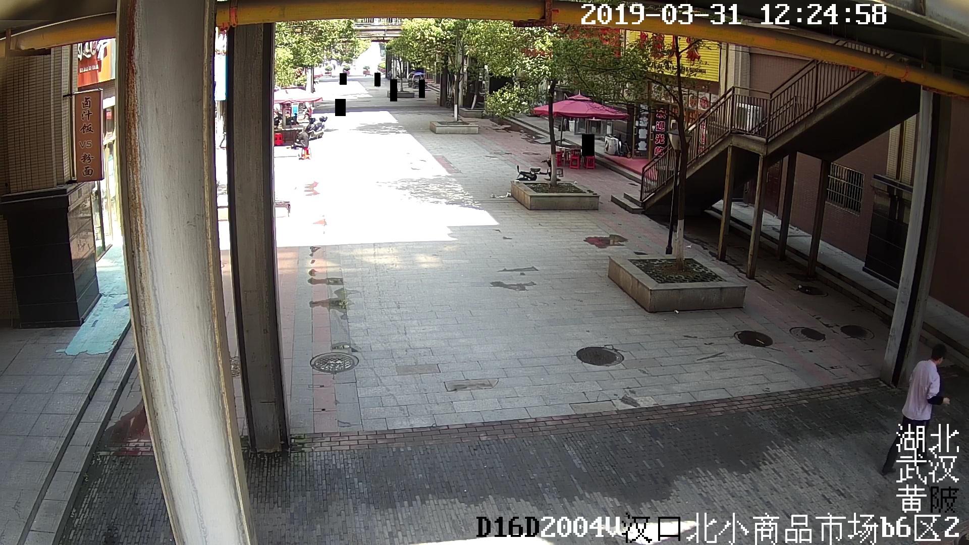 Roadside Object Detection Dataset By Jubileus123