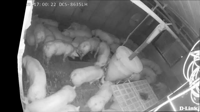 ntu Computer Vision Practice with Deep Learning - Roboflow Universe