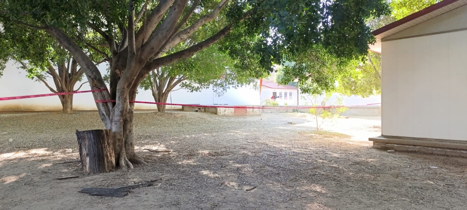 My First Project Instance Segmentation Dataset by Ia