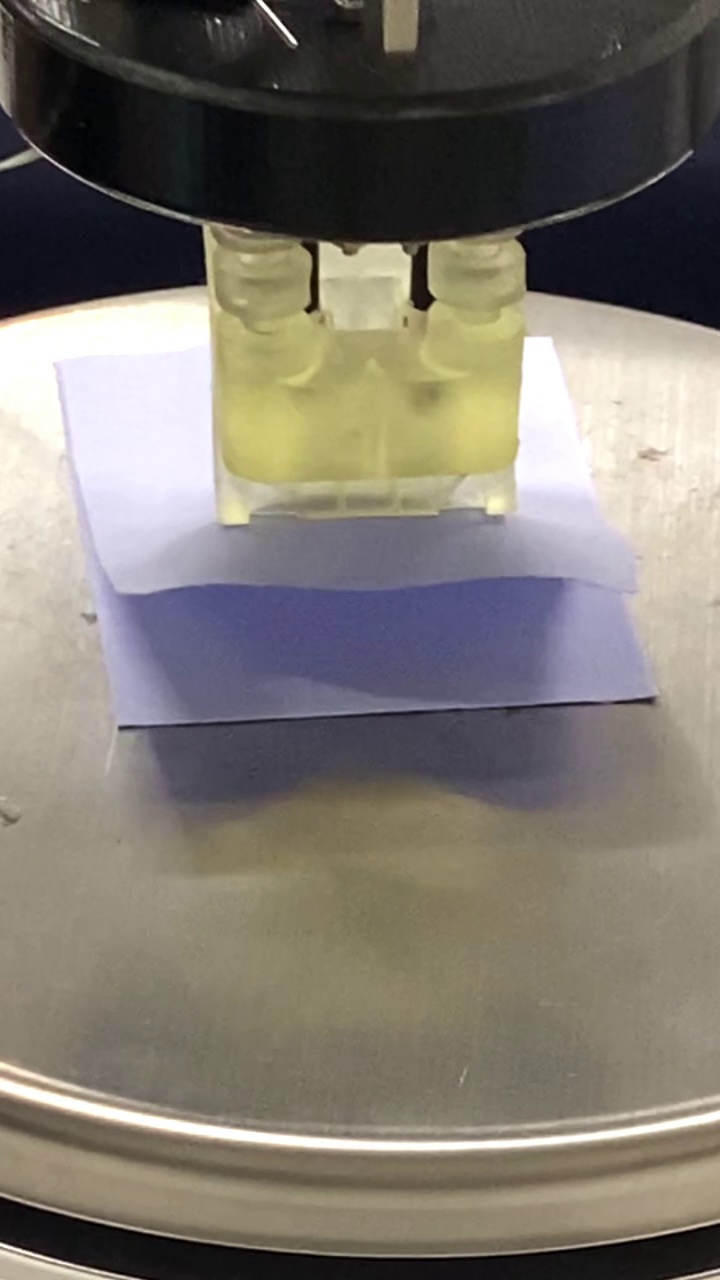 smf Instance Segmentation Dataset and Pre-Trained Model by numberdetection