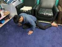 Low Resolution Fall Object Detection Dataset by Fall Detection