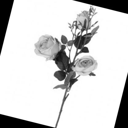 flower Object Detection Dataset and Pre-Trained Model by liangquan