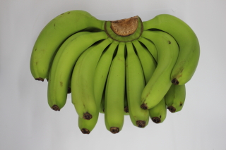 Banana ripeness Object Detection Dataset and Pre-Trained Model by gbc
