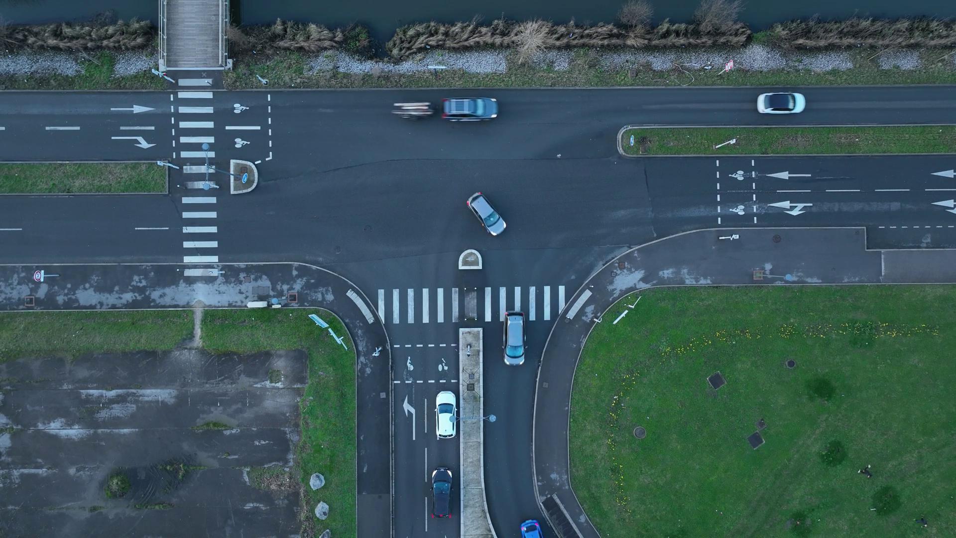 lion Object Detection Dataset and Pre-Trained Model by KOBI