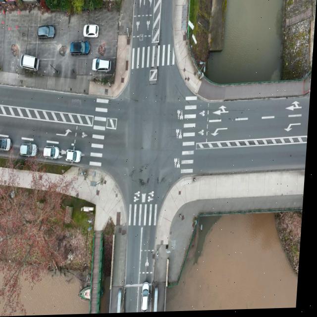 lion Object Detection Dataset by KOBI