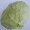 cabbage Object Detection Model by cao