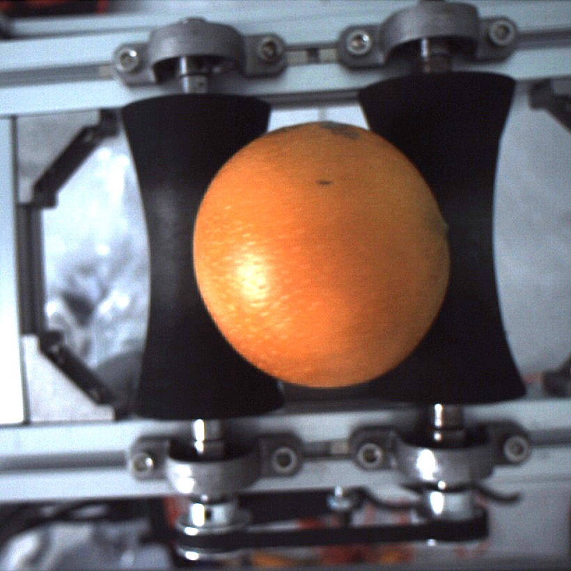Orange Detection Object Detection Dataset V10 2024 12 10 11 26am By Duc