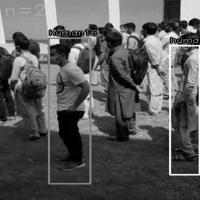 face_&_person Object Detection Dataset by Detecting person exampl