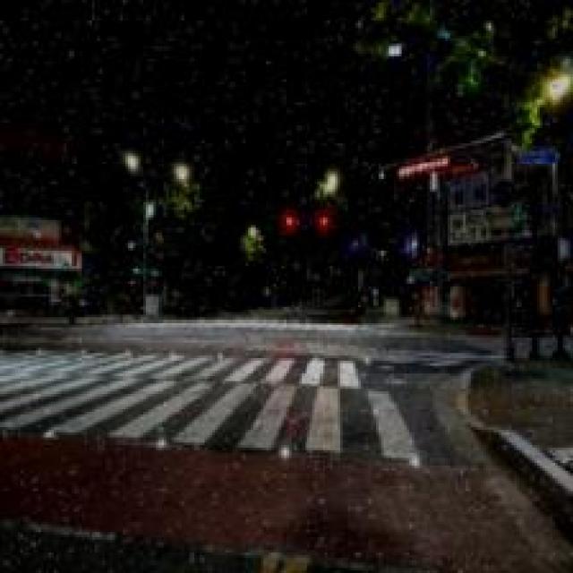 zebra cross Object Detection Model by a