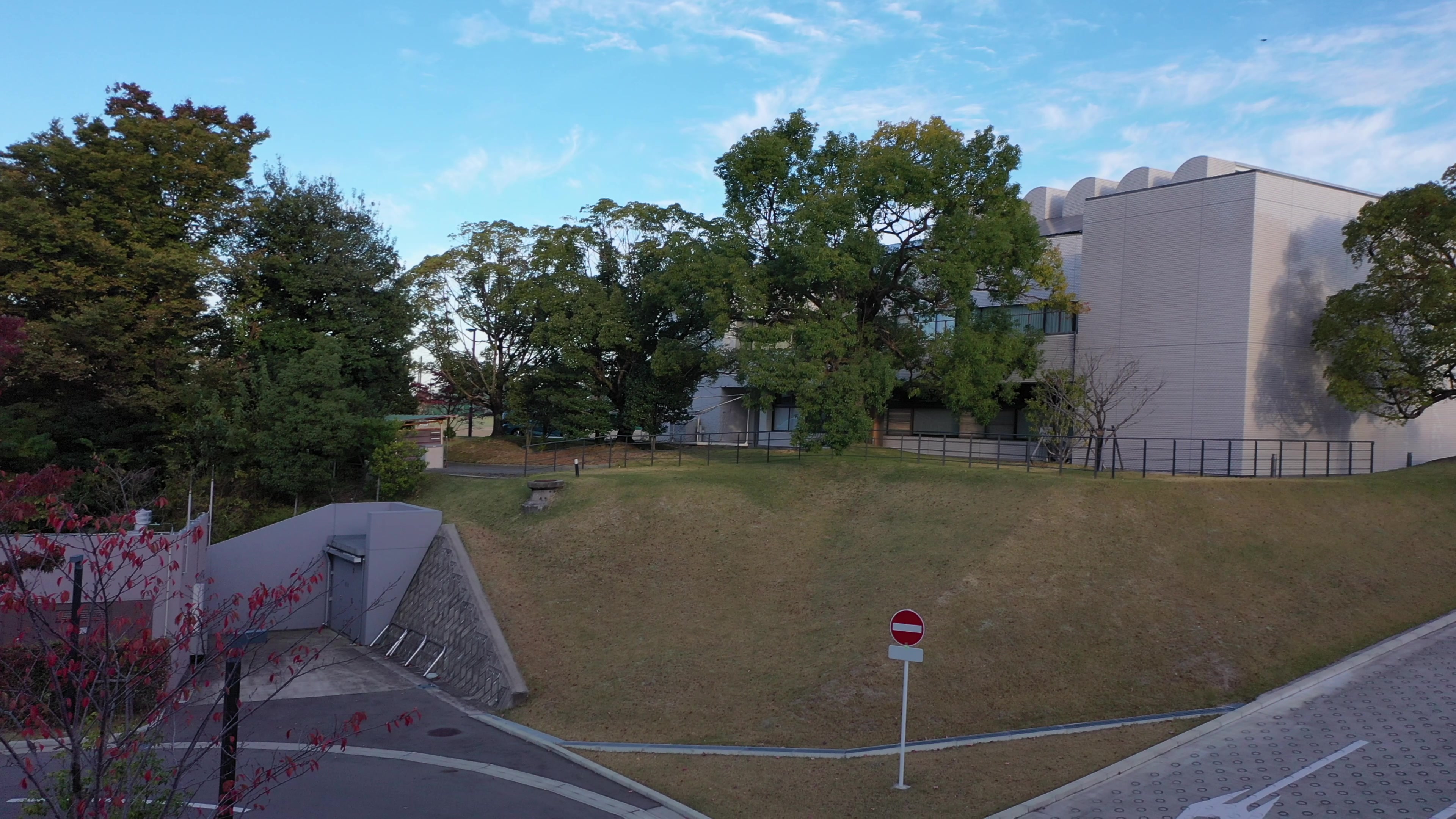 Bird Object Detection Dataset By Objectdetection