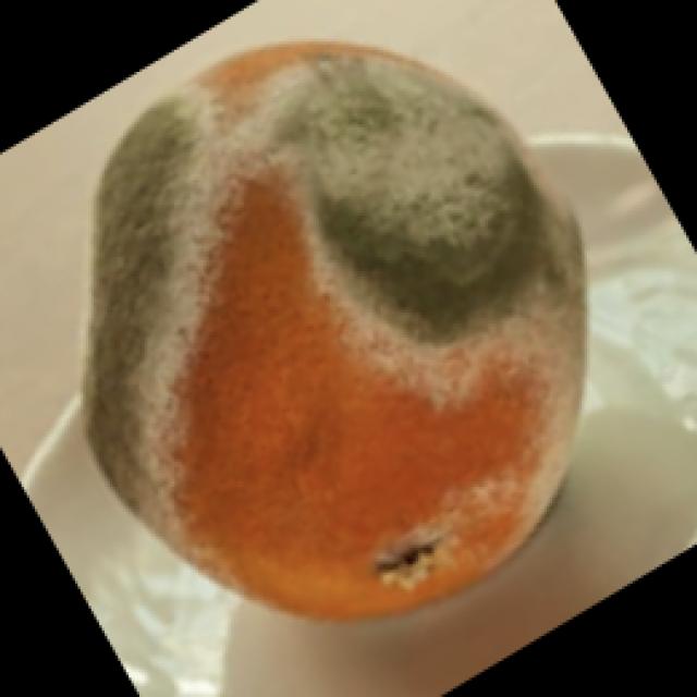 orange Object Detection Dataset by fruit detection