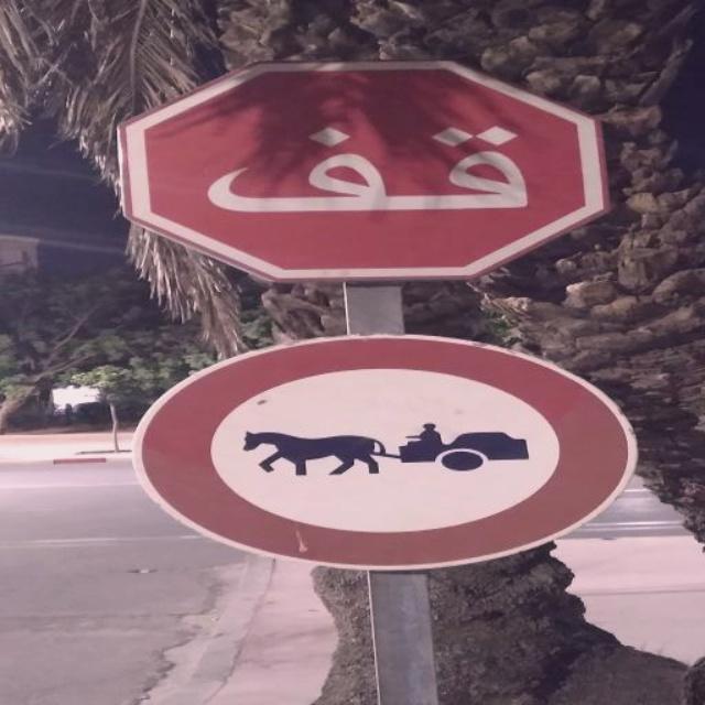Object Detection Traffic Sign Object Detection Model By Shays 1360
