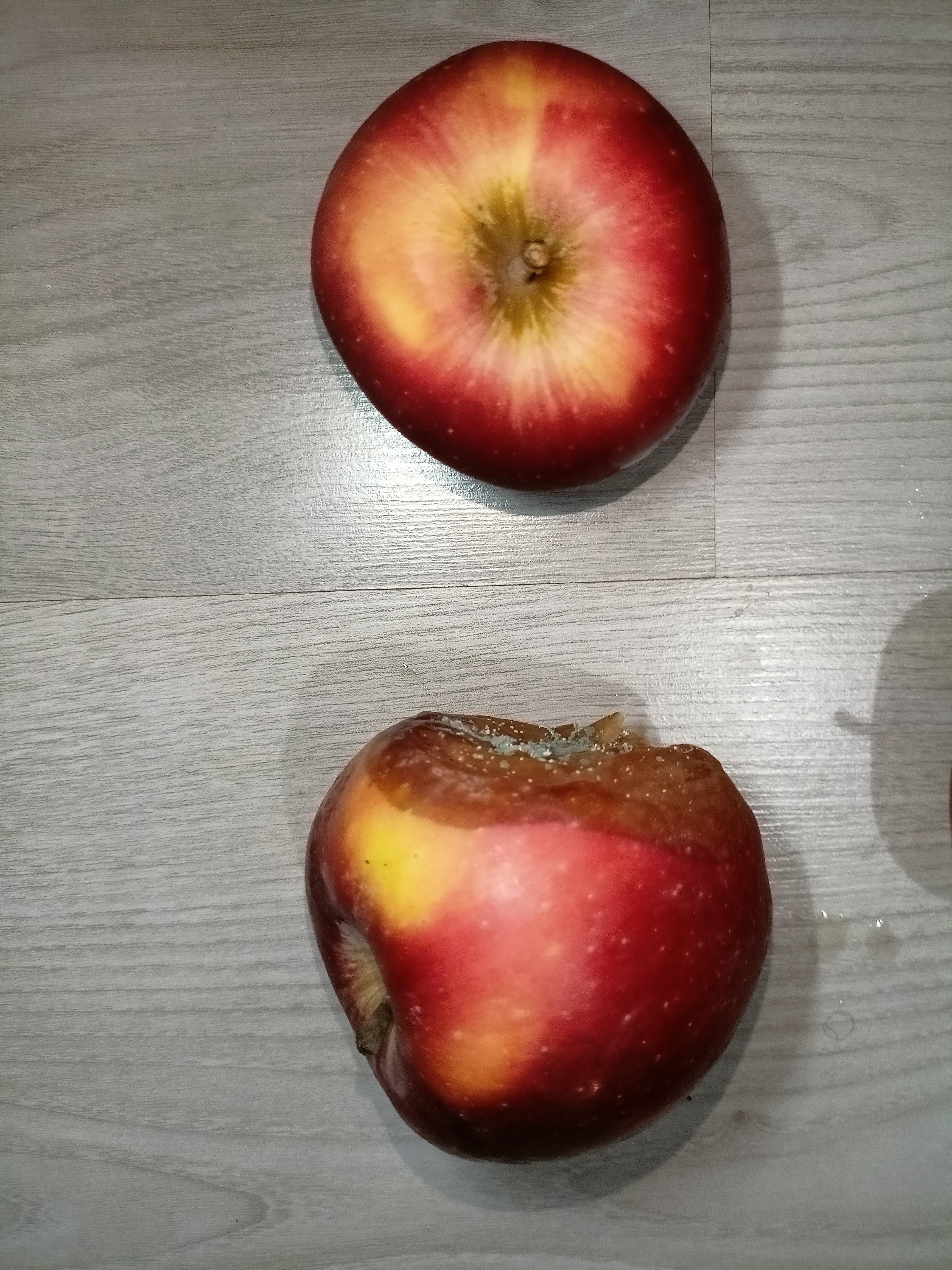 Apples Object Detection Model by AppleDataset