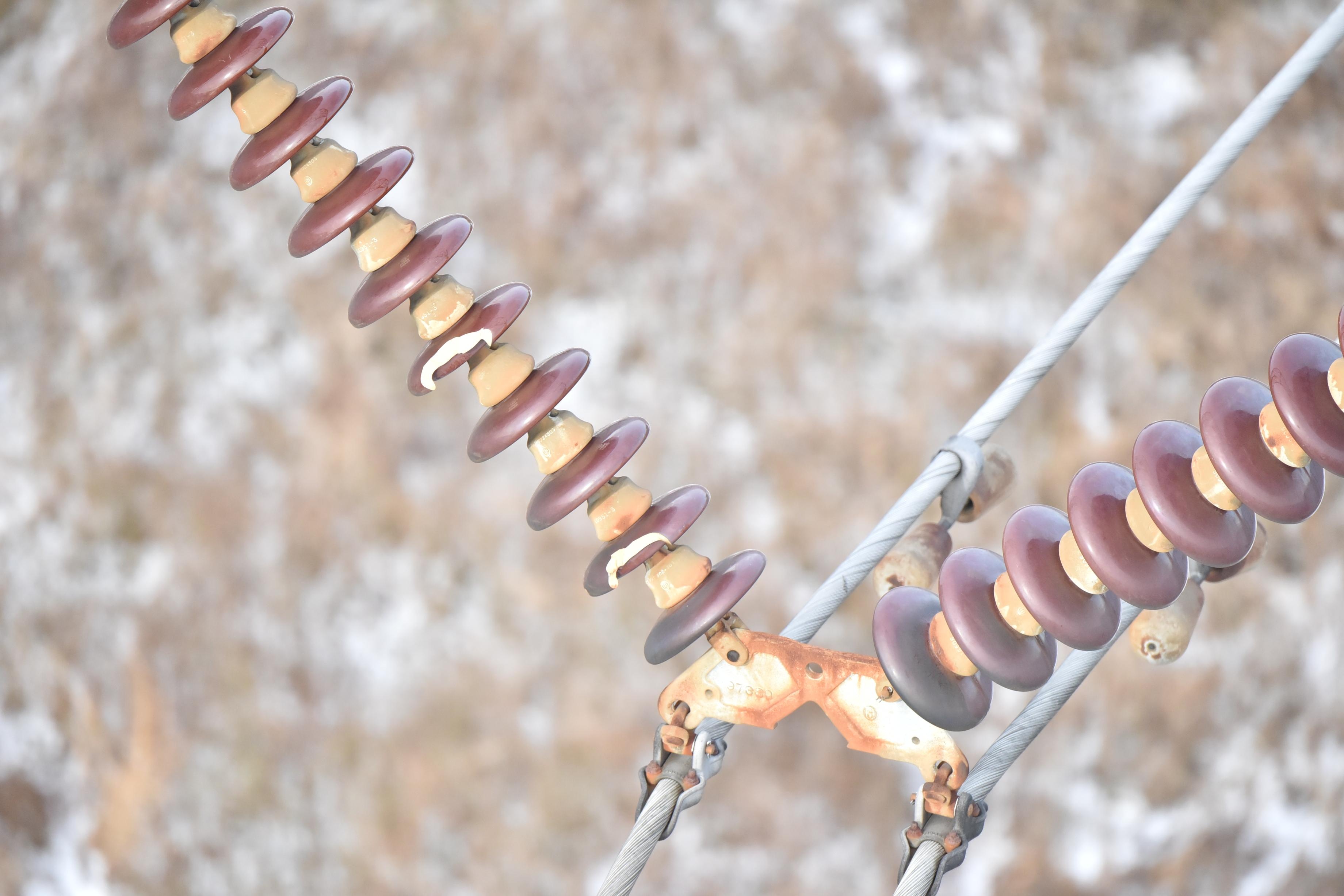 Custom Workflow Object Detection Object Detection Dataset by INSULATOR LABELLING