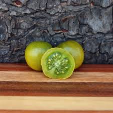 Tomato Grading Instance Segmentation Model by TOMATOBOT