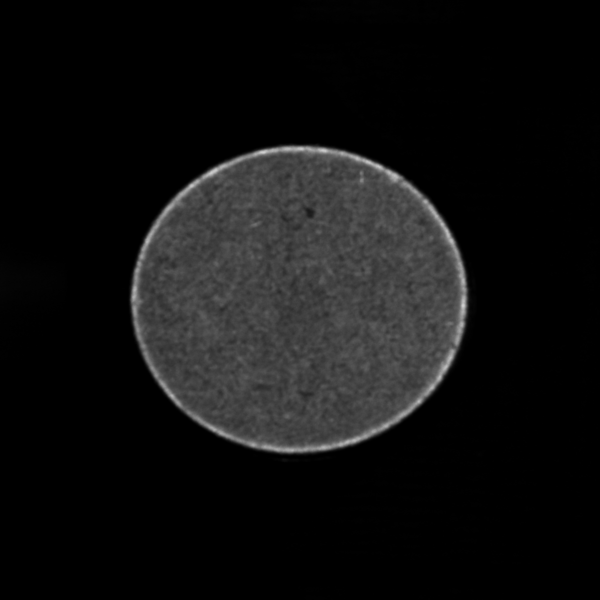 Test1 Object Detection Model V1 2024 10 16 7 41am By Test1