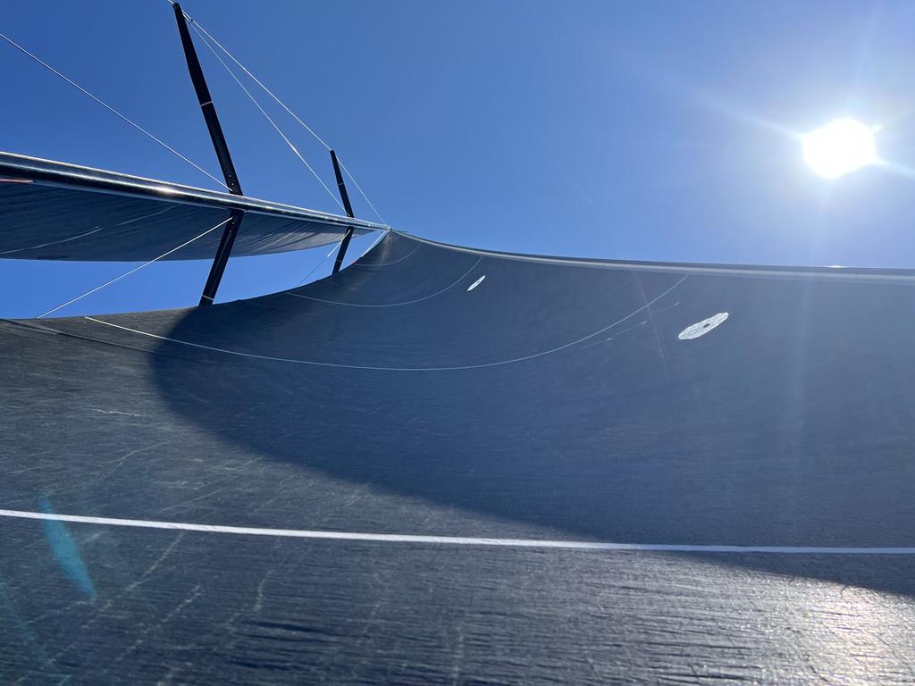 fleurs-bot Instance Segmentation Model by Sailing Project