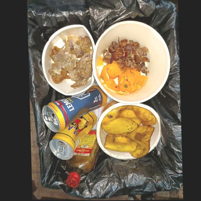 Waste Detection in a pile Object Detection Dataset and Pre-Trained Model by FYP