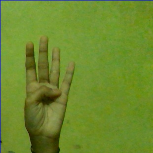 Hand Fingers SAMY Object Detection Dataset by Biomatric