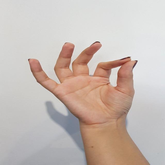 Hand Detection Object Detection Dataset And Pre Trained Model By Faizan