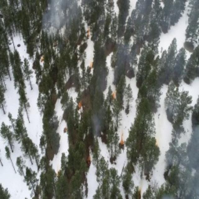 Fire Detection 2 Object Detection Dataset And Pre Trained Model By Yaswitha Gurram