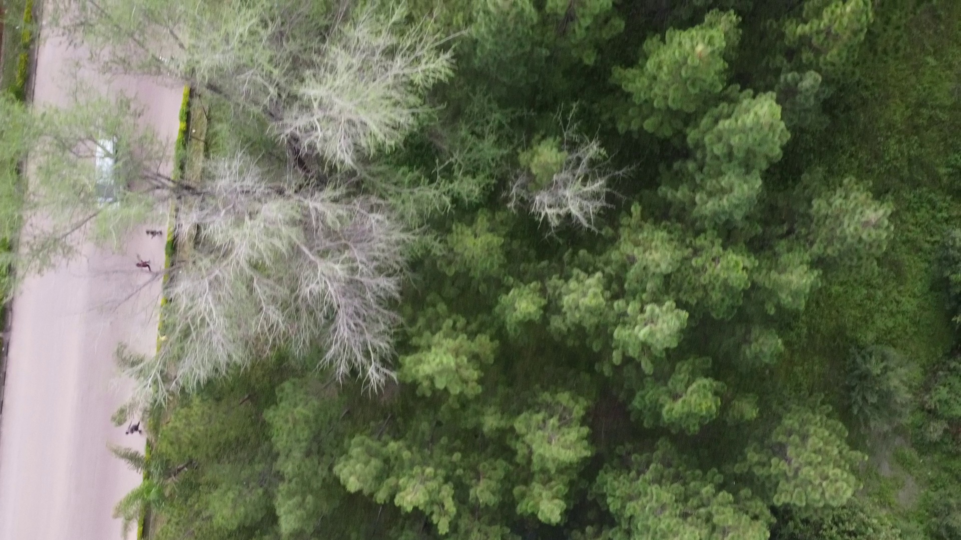 Detect Count And Visualize Object Detection Object Detection Dataset 9337