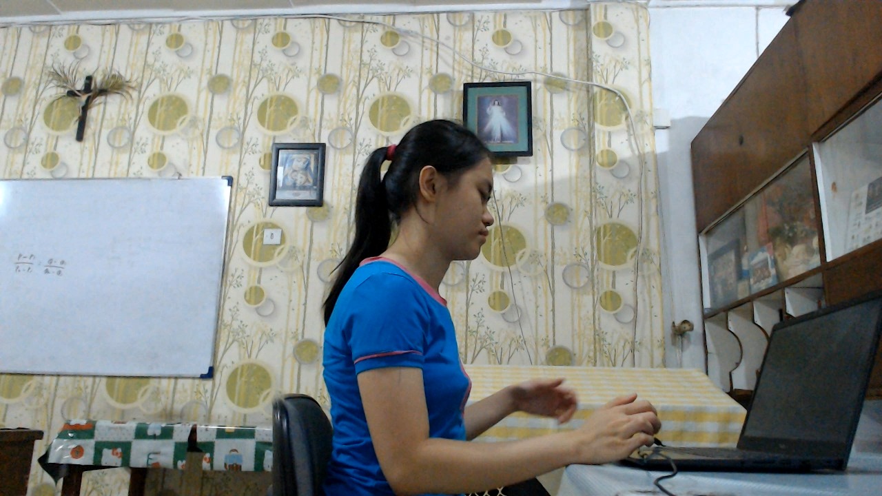 Human Posture Keypoint Detection Dataset by tes