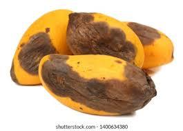 mango Object Detection Dataset by mini project