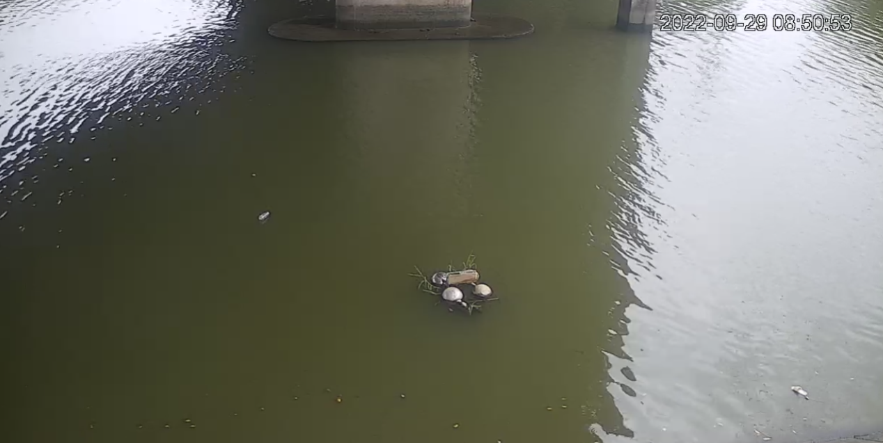 Floating_o_d Object Detection Model by practice