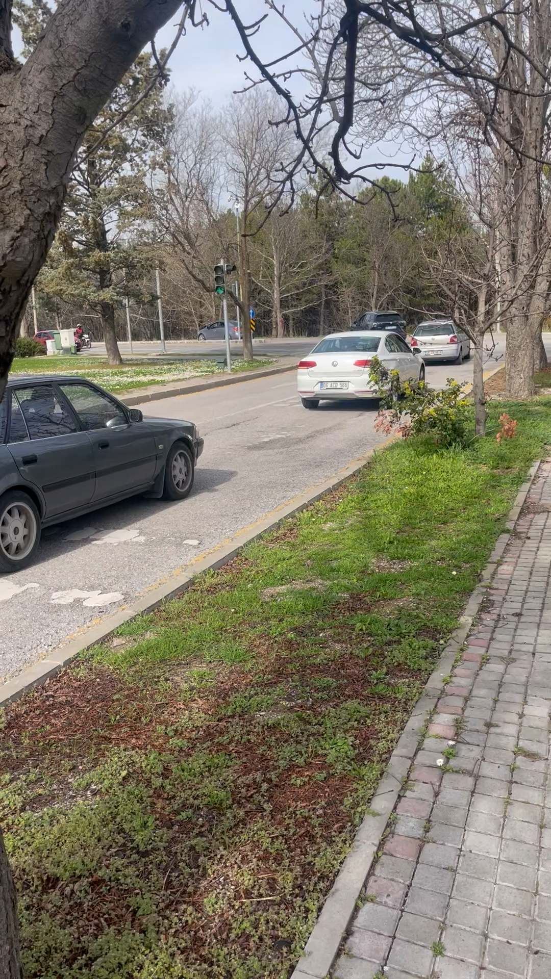 bitirme-final Object Detection Dataset and Pre-Trained Model by Eren Gksu