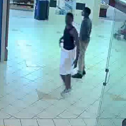 Object Camera Object Detection Dataset and Pre-Trained Model by andremp