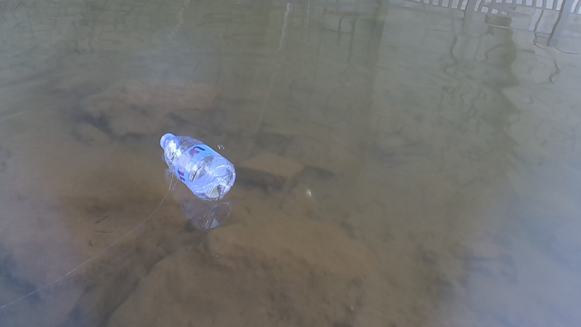 Water Object Detection Dataset By Yolov