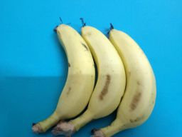 Banana Quality Object Detection Model by FYP UITM