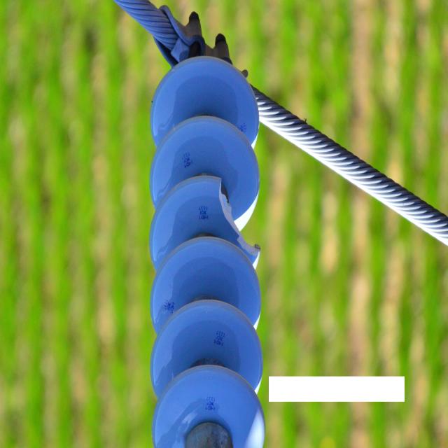 Fault Insulator Object Detection Dataset And Pre Trained Model By Mvgr