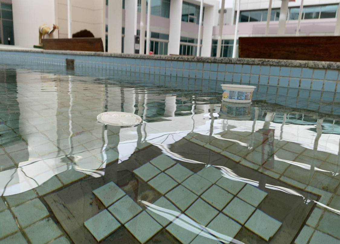 Detect Object Detection Dataset And Pre Trained Model By Uaeu