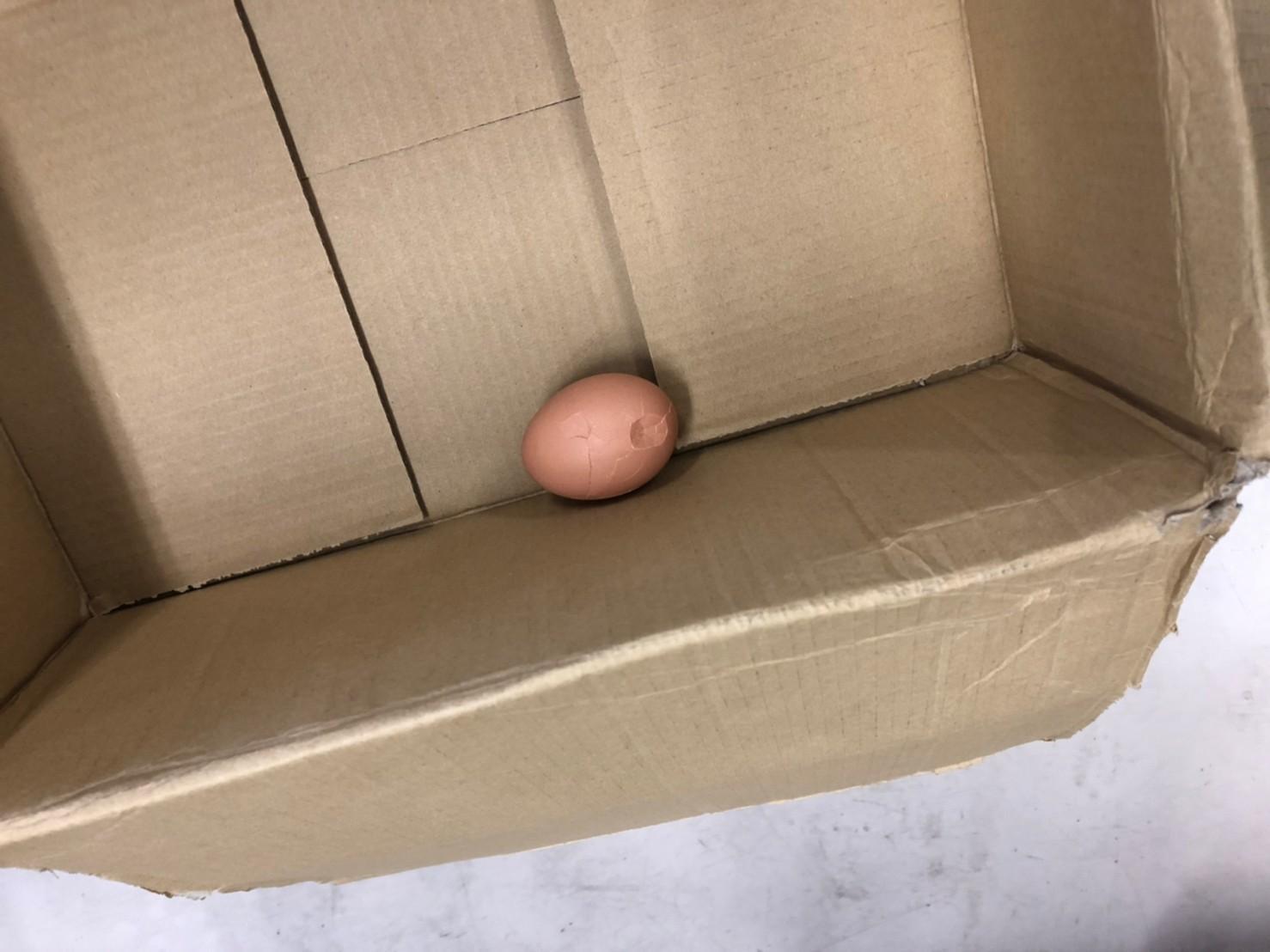 Egg Detection Object Detection Dataset And Pre Trained Model By Htd